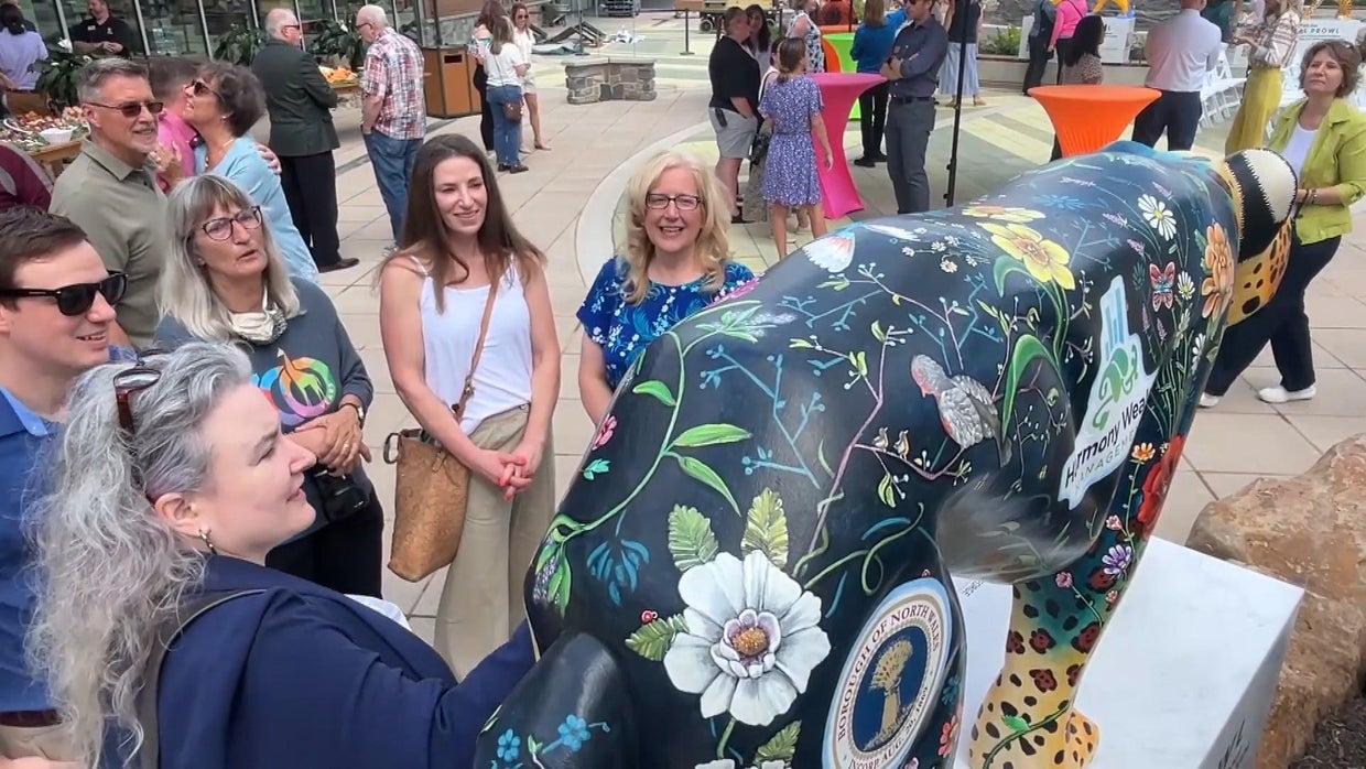Colorful jaguar statues unveiled at Elmwood Park Zoo to be installed ...