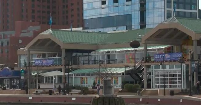 New small businesses are opening at Inner Harbor. Owners say they are ...