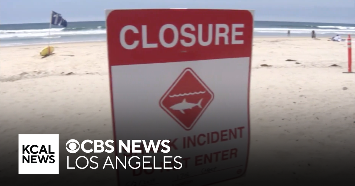 Man recounts moments he helped save shark attack victim in Del Mar ...