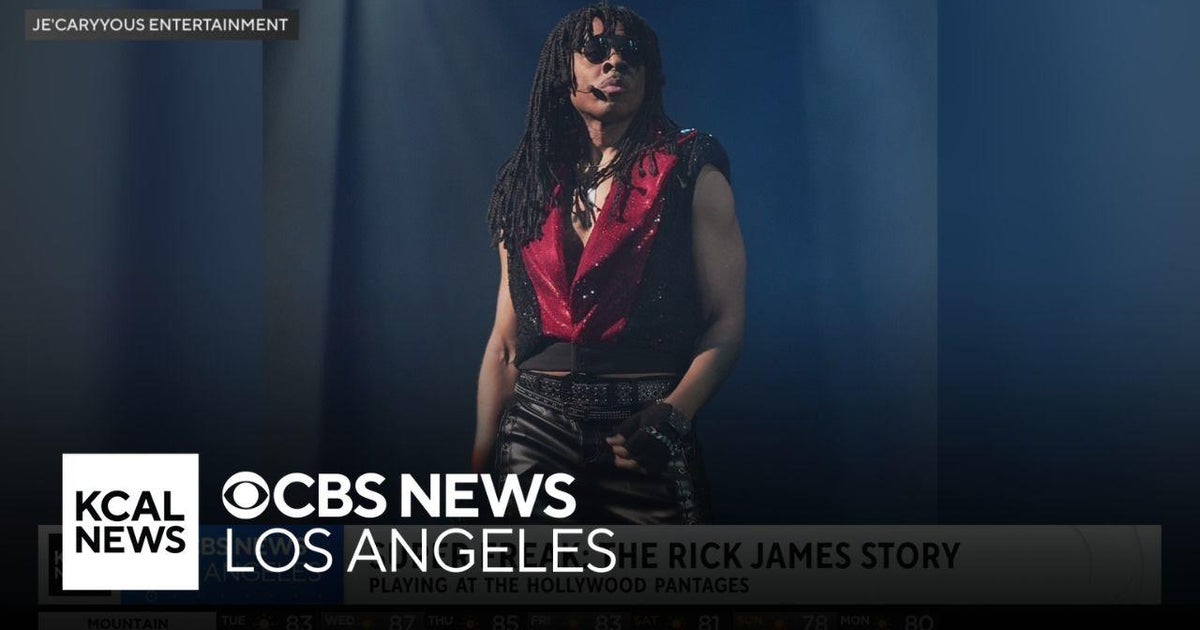 A preview of "Super Freak: The Rick James Story" at the Hollywood ...