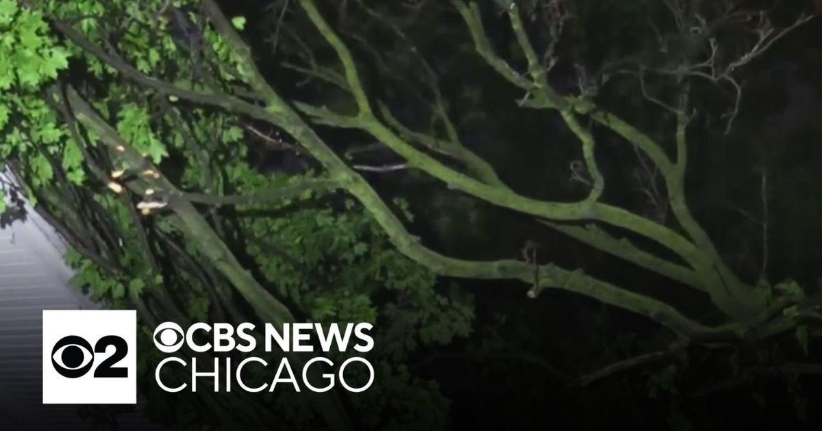 Tree falls onto Southwest Side Chicago home during heavy storms - CBS ...