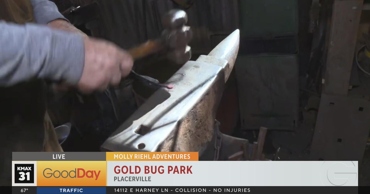 Gold Bug Park in Placerville - Good Day Sacramento