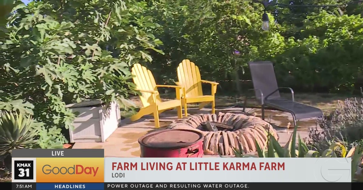 Farm Living at Little Karma Farm - Good Day Sacramento