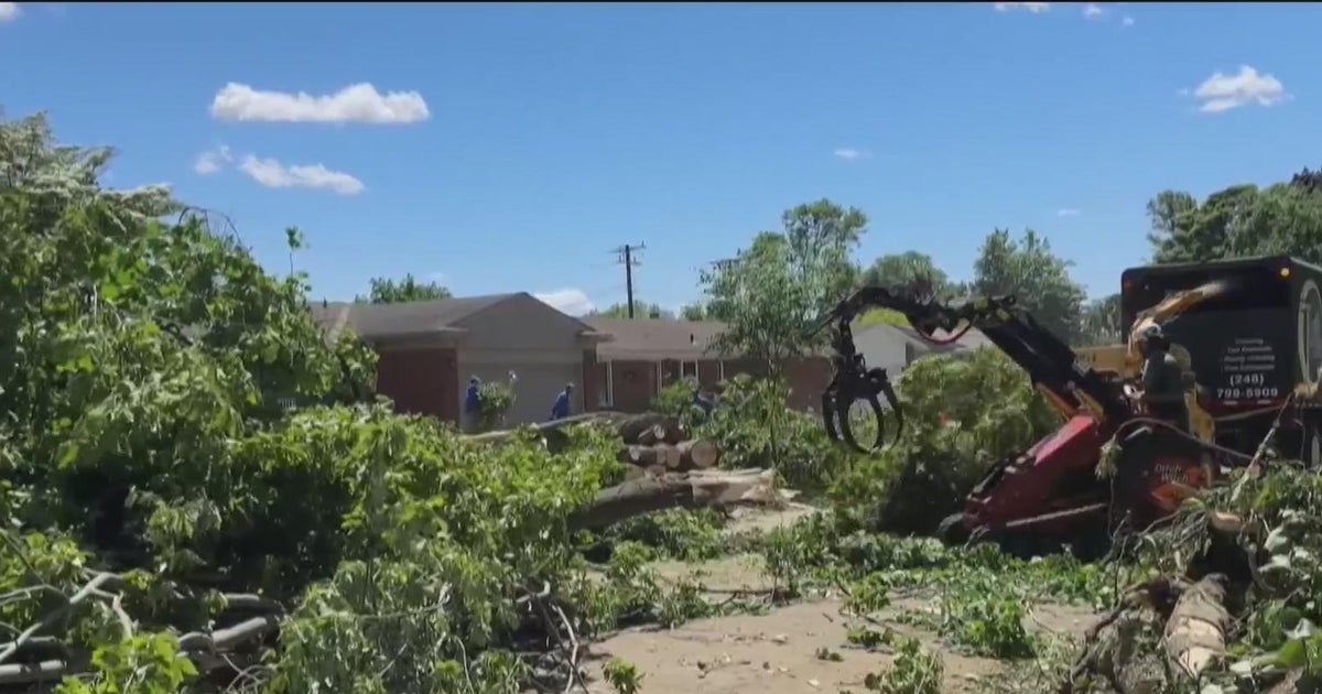 Cleanup process continues following devastating Metro Detroit storm ...
