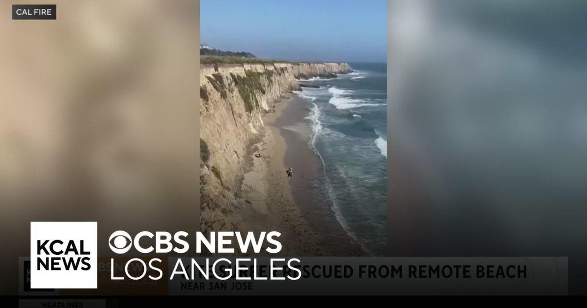 Kite surfer rescued from beach near San Jose - CBS Los Angeles
