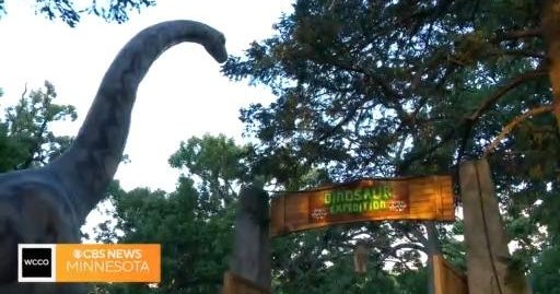 Como Town offers prehistoric adventure for all ages - CBS Minnesota