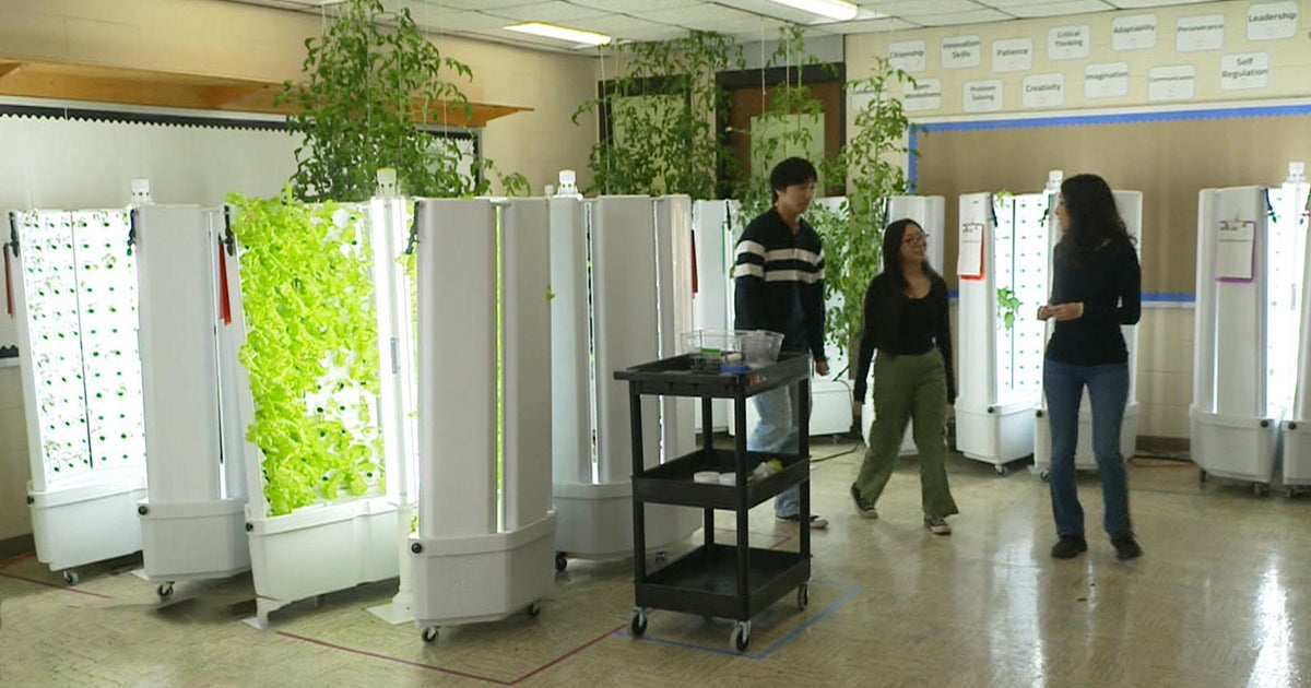Rebuilding America: How a hydroponic school garden provides fresh ...