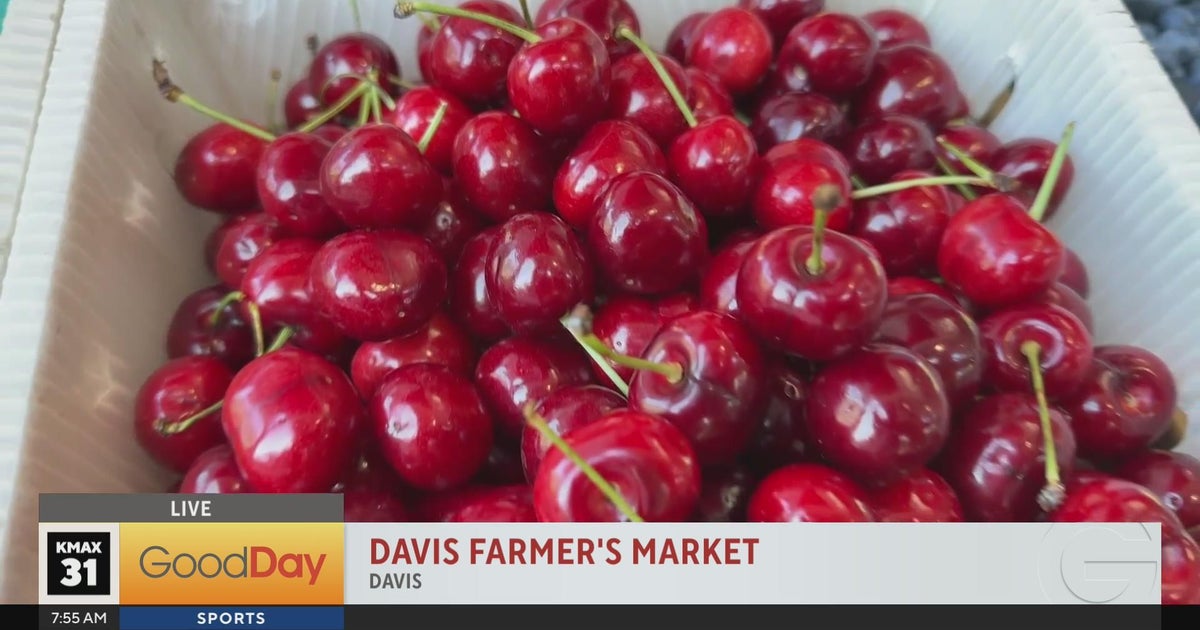 Davis Farmer's Market with Your Produce Man, 7am - Good Day Sacramento