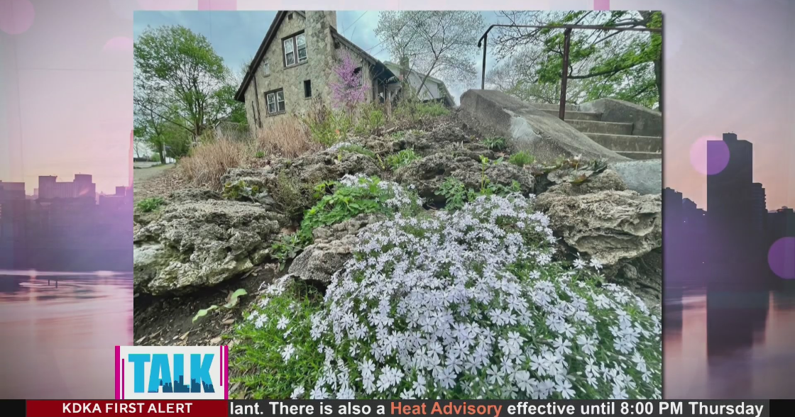 Boaz shares some gardening tips on Talk Pittsburgh - CBS Pittsburgh