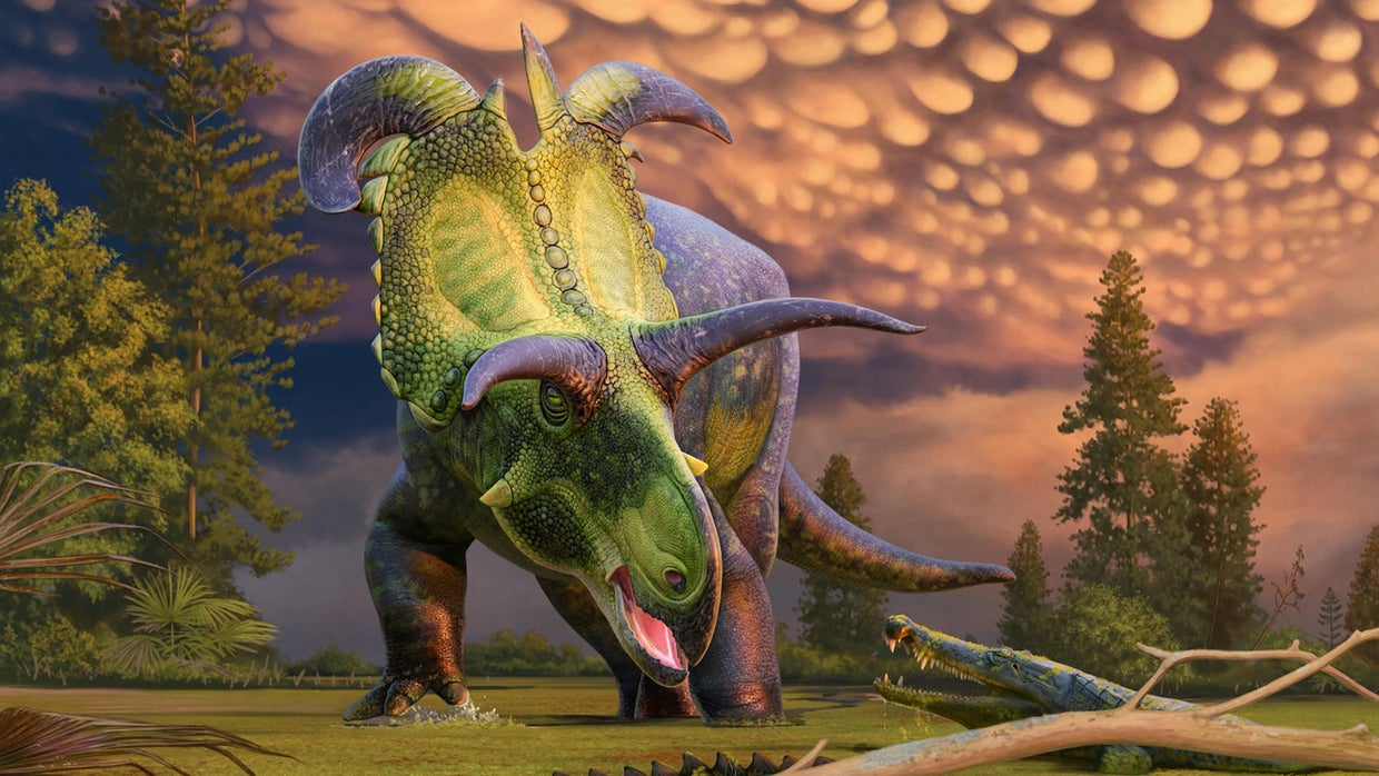 Find out why the Lokiceratops, a new dinosaur, was named by experts ...