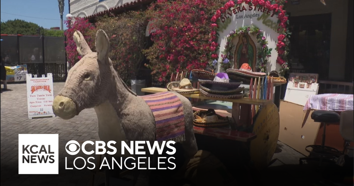 LA City Council votes to protect iconic Olvera Street donkey - CBS Los ...