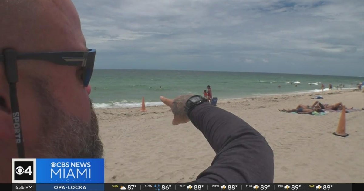 South Florida water safety expert, tourists react to rip current ...
