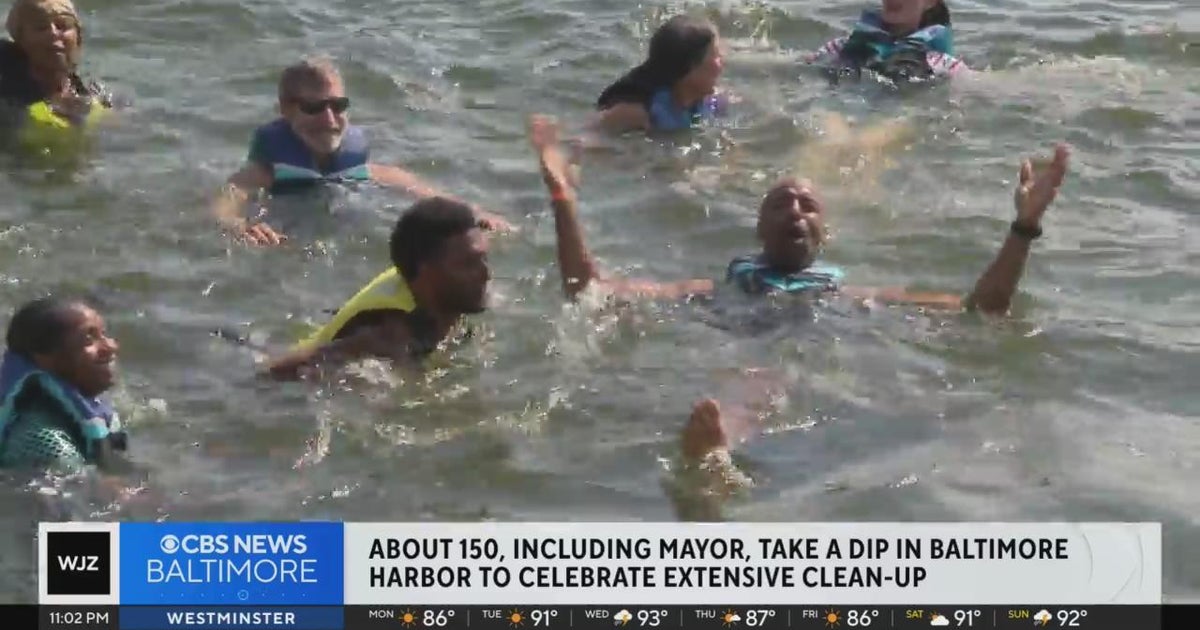 Baltimore mayor, 150 others jump in the Inner Harbor - CBS Baltimore