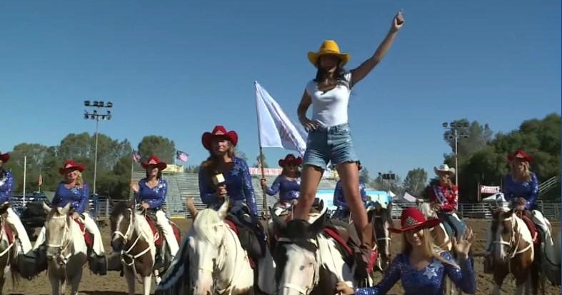 Dust off your cowboy boots, we're hitting the rodeo with Sakura Gray ...