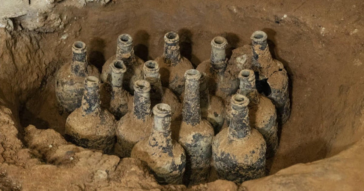 Preserved cherries and berries from 250 years ago found at George ...