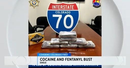 18+ pounds of cocaine mixed with fentanyl, ammunition seized during ...