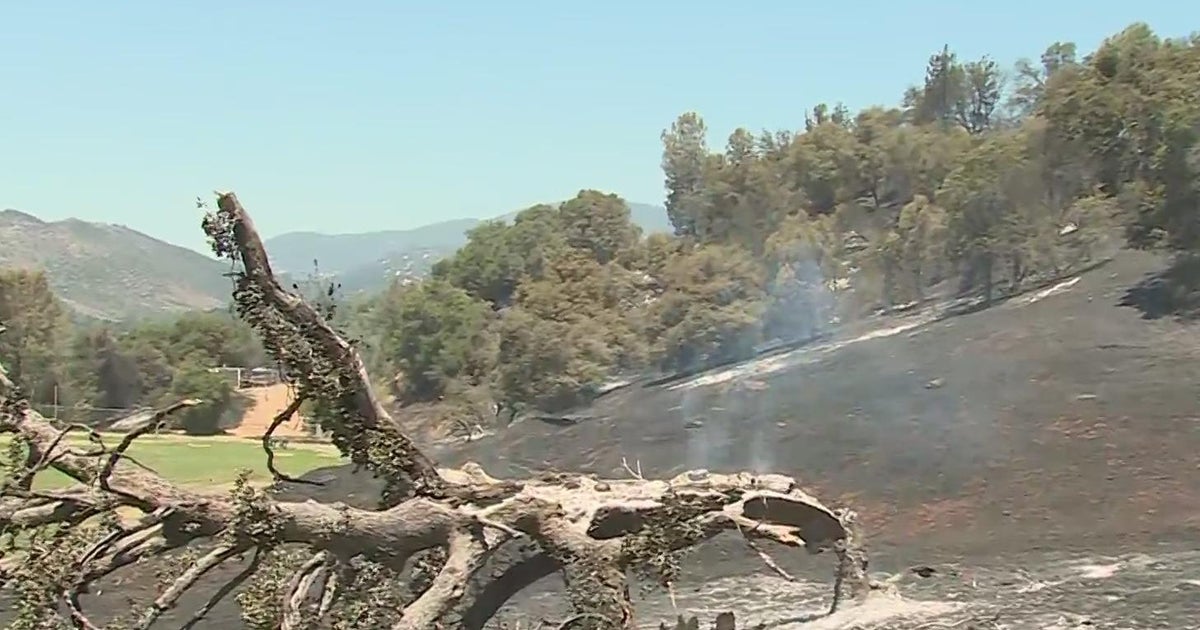 1,100 people forced to evacuate from fast-moving French Fire in ...