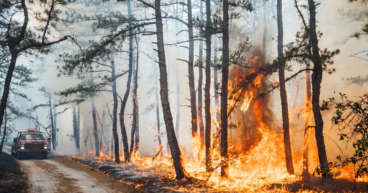 Wharton State Forest wildfire was started by fireworks, New Jersey fire ...
