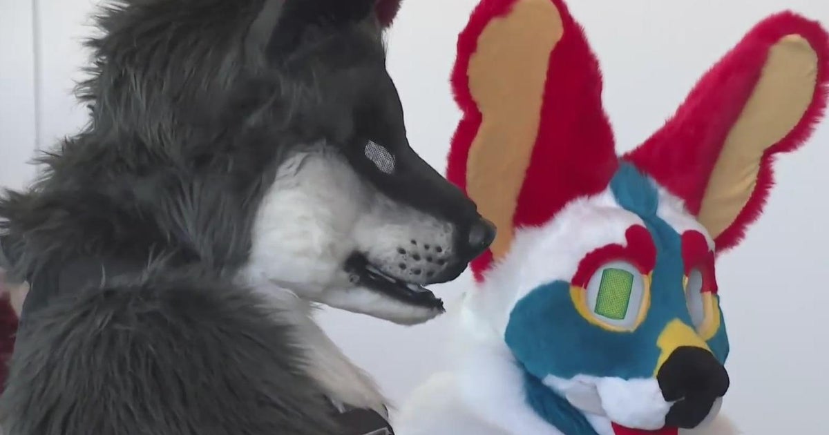 Furries raise $100,000 for Pittsburgh rescue dedicated to senior dogs ...