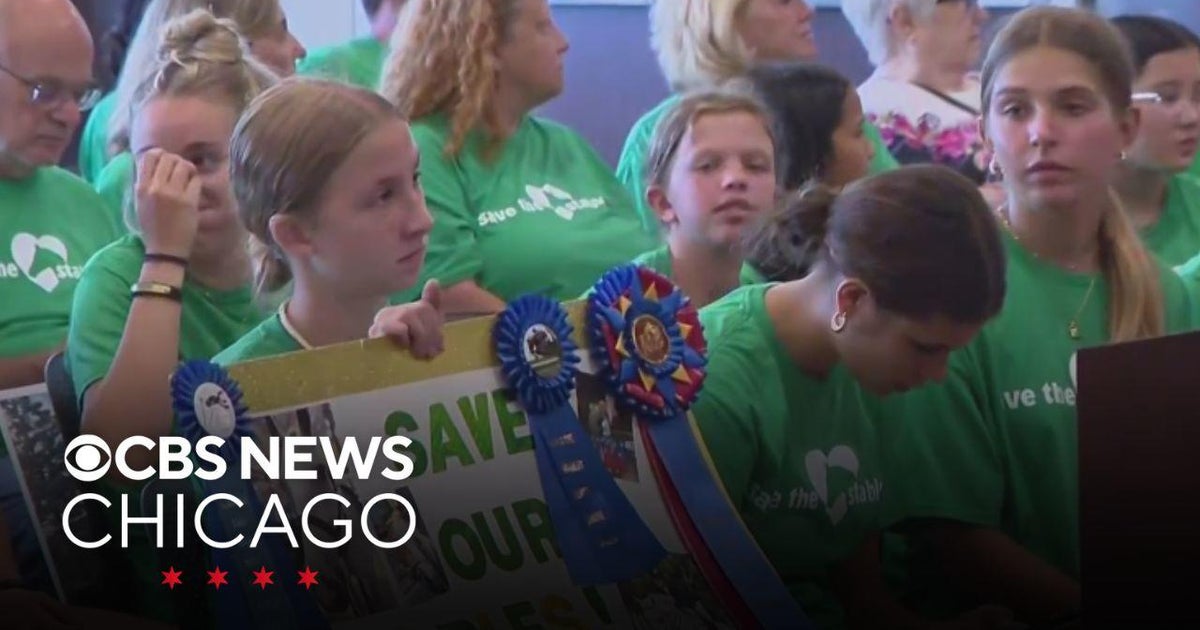 Push to save Palatine Stables in Chicago suburbs falls short - CBS Chicago