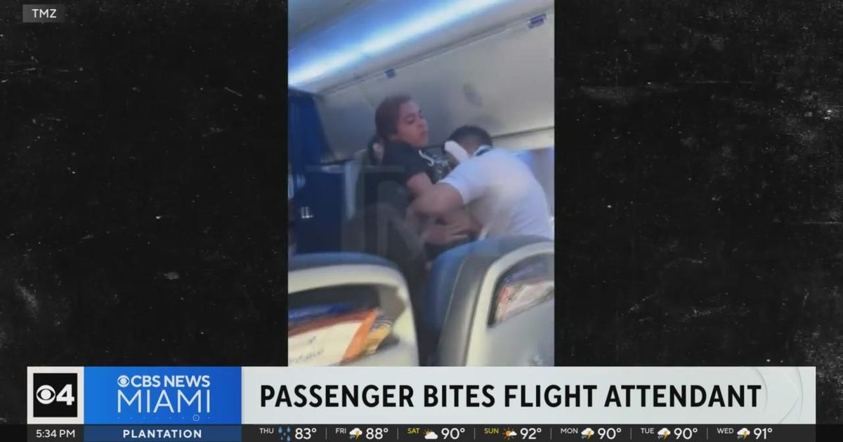 Caught on camera: Passenger bites flight attendant on flight from Miami ...