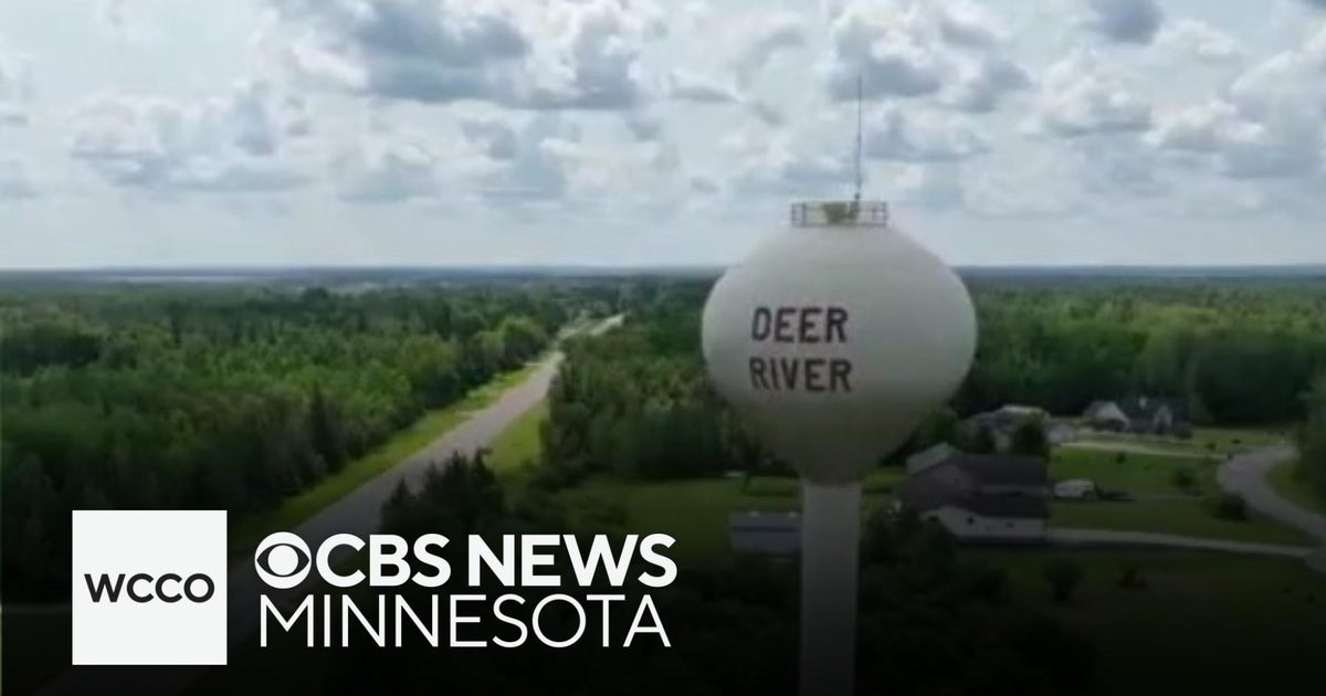Land around Lake Winnibigoshish ideal for harvesting wild rice - CBS ...