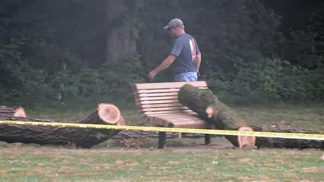 Massive tree branch falls on 3 children at Massachusetts playground ...