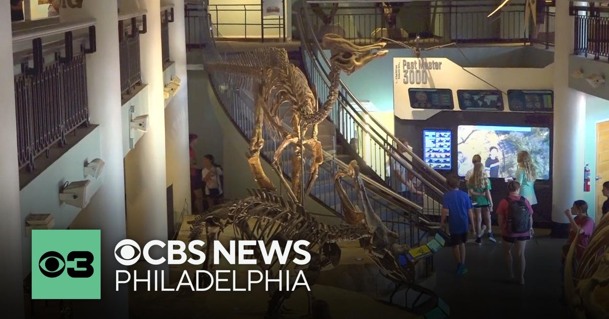 Experience the roar-some Dino-mite Summer at the Academy of Natural ...