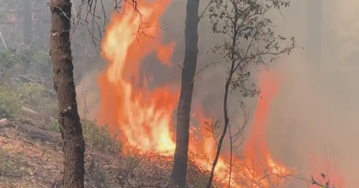 Park Fire grows to 350,000 acres in fourth day, thousands remain ...