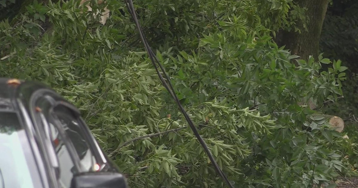 Ambridge residents lose power after tree falls on power lines - CBS ...