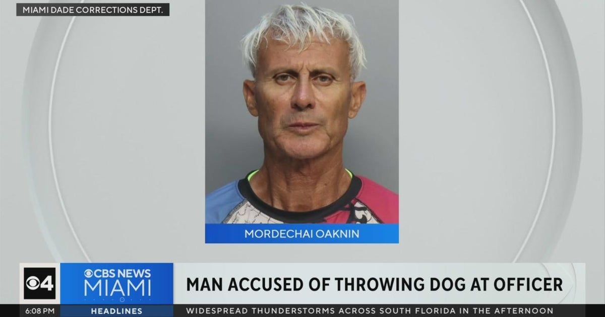 Man faces charges after throwing dog at police officer - CBS Miami