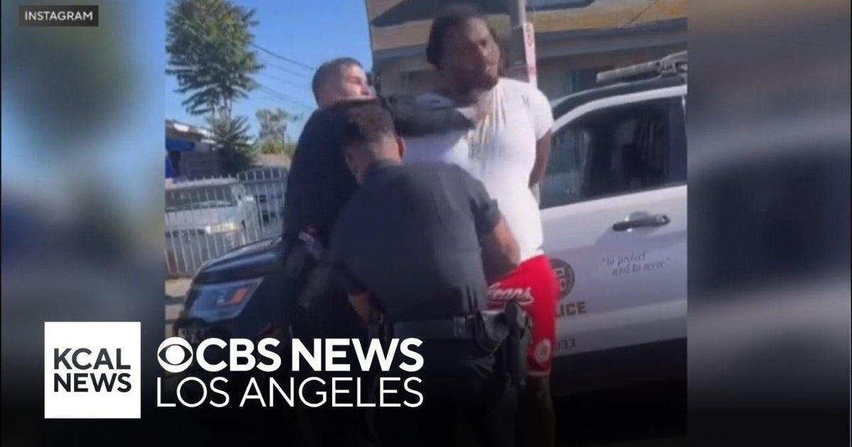 Video shows LAPD officer punching handcuffed man in South Los Angeles ...