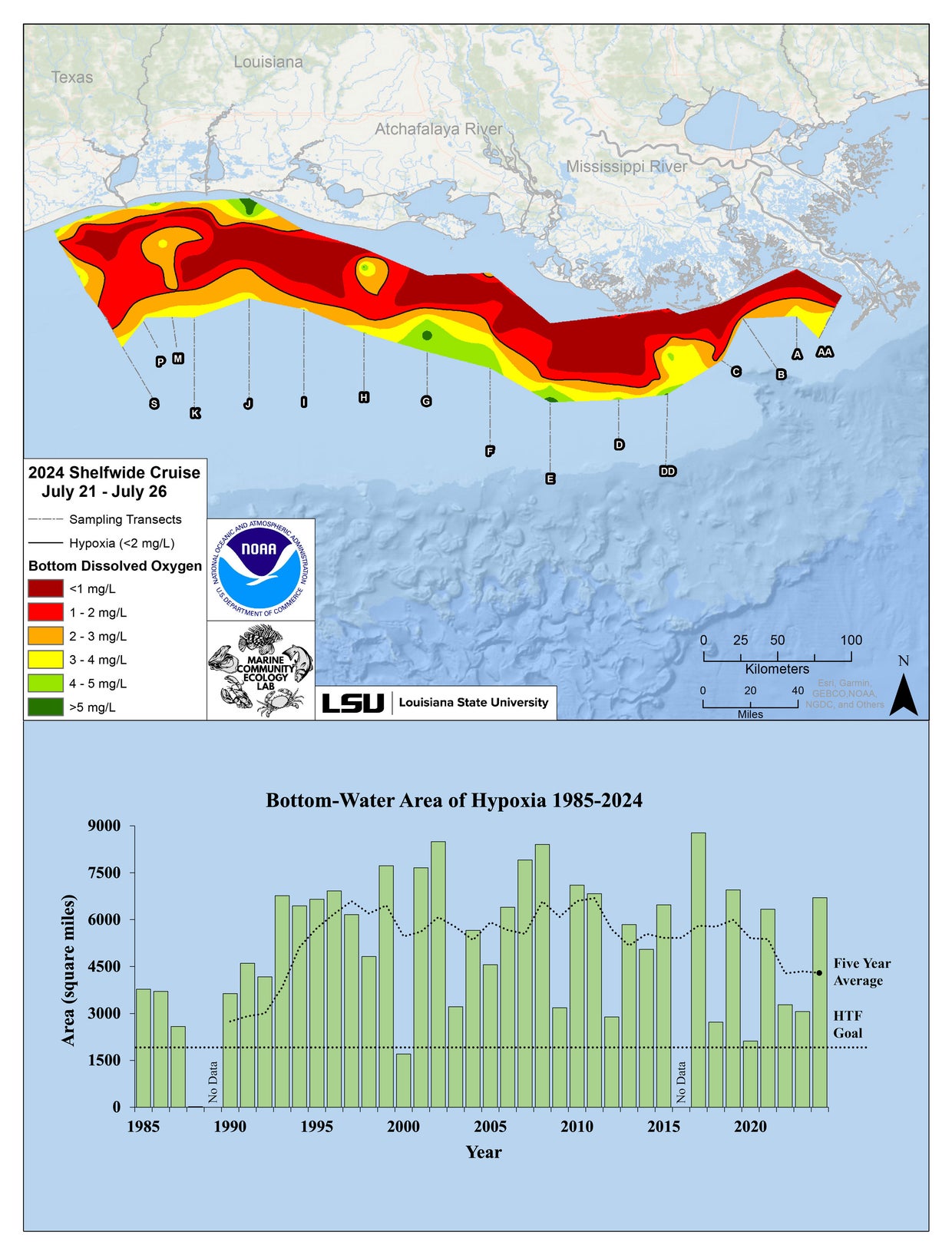 New Jersey-sized "dead zone" that can kill fish and marine life emerges ...