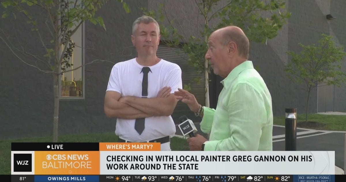 Local painter, Greg Gannon, is transforming parts of Baltimore through ...