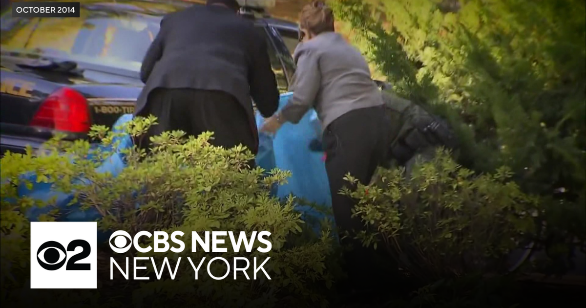 RFK Jr. comes clean about dumping dead bear in Central Park a decade ...