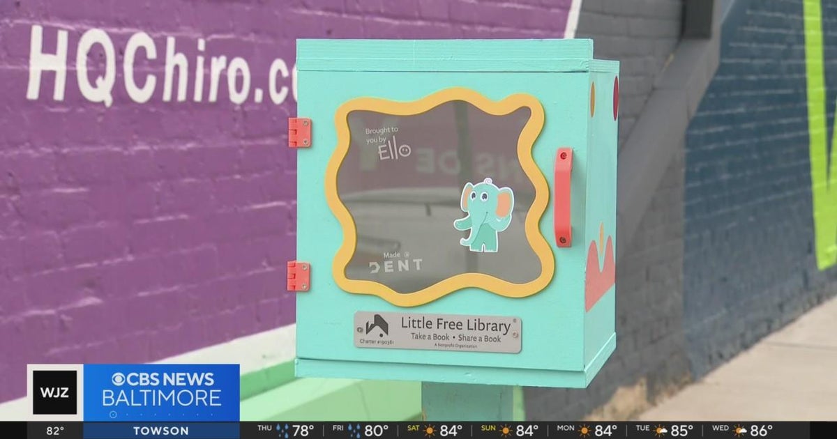 Little Free Library book-sharing boxes installed in 10 locations in DC ...