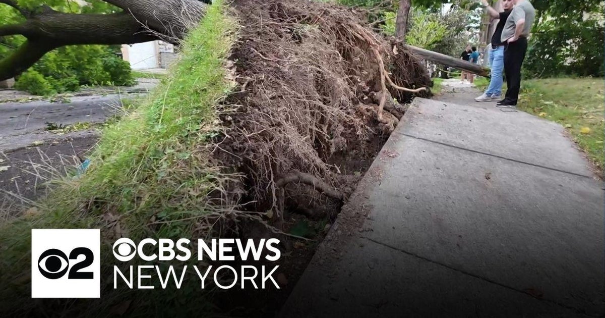 New York, New Jersey assessing the damage from Debby - CBS New York