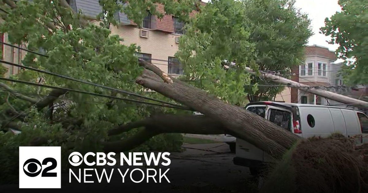 Remnants of Debby cause tornado, damage across New York - CBS New York
