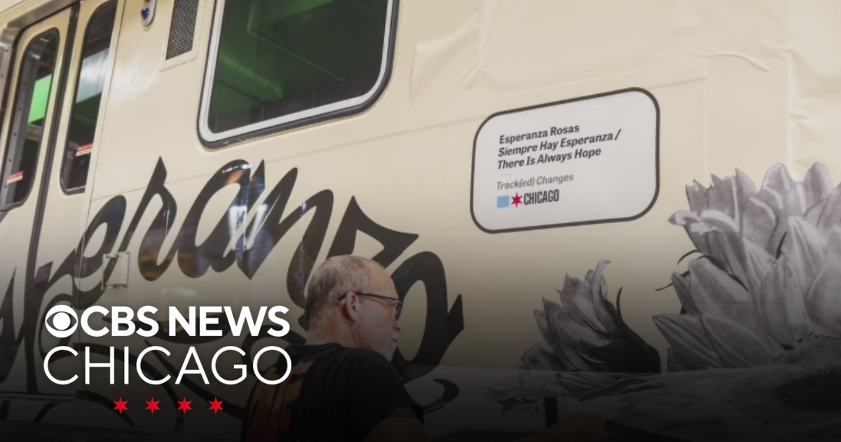Artist-created train car wraps rolling out on CTA lines - CBS Chicago