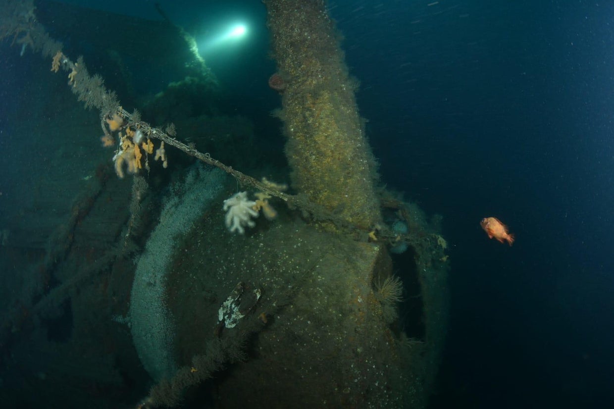 Wreck believed to be WWI ship that sank with over 500 sailors found in ...