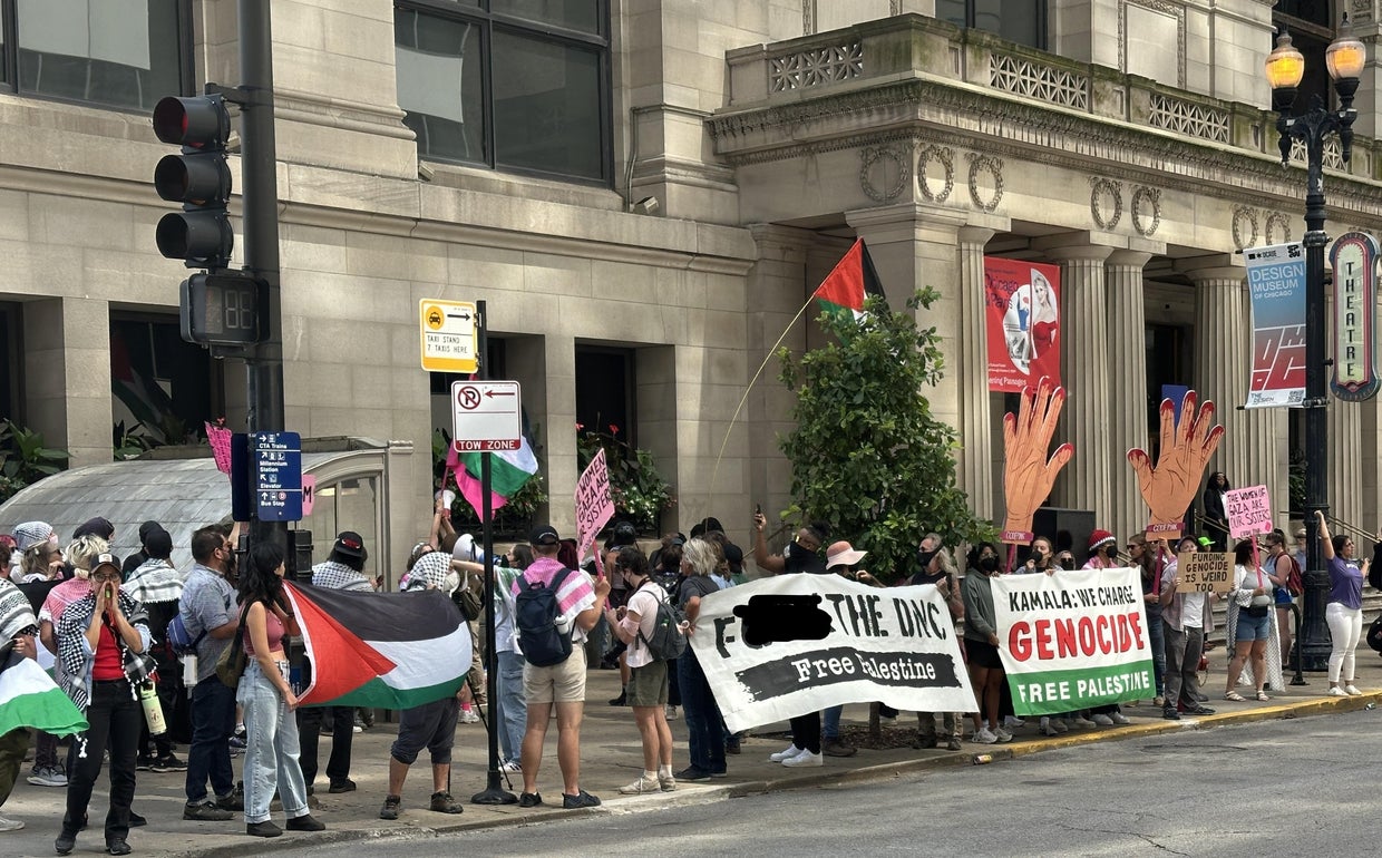 DNC reaches conclusion with further protests in Chicago