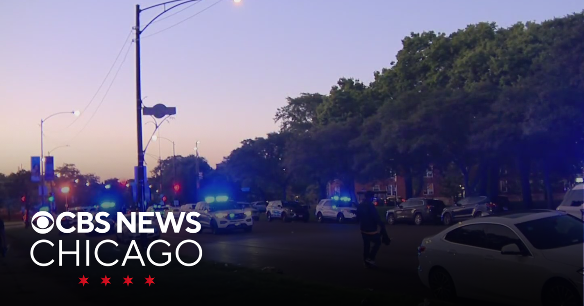 Off-duty Lyons police officer involved in Washington Park shootout ...