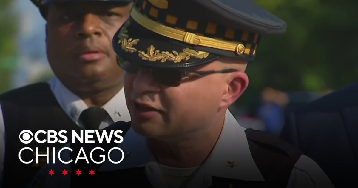 CPD deputy chief, officer arrested on criminal damage to property ...