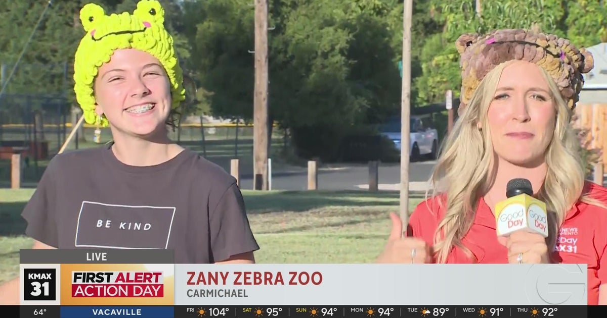 Zany Zebra Zoo - Good Day Sacramento