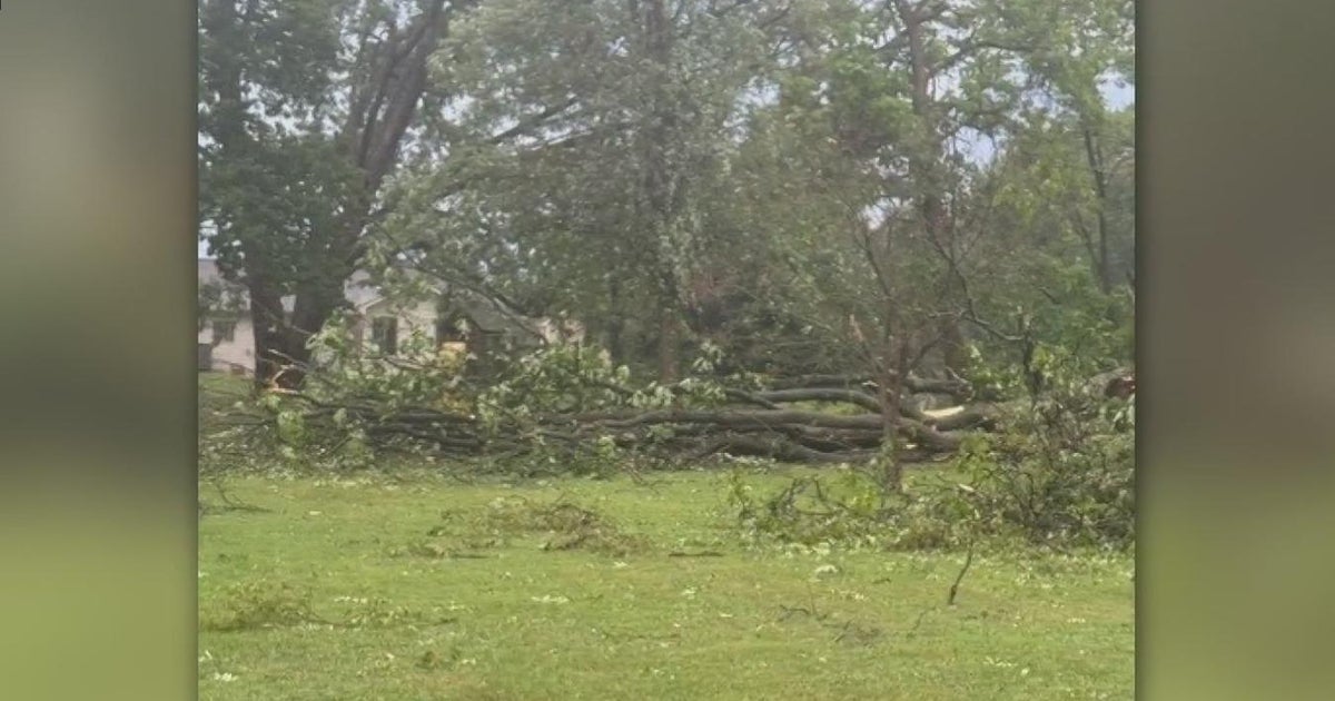Storms bring down trees, knock out power to thousands in Beaver County ...