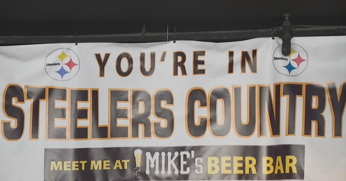 Steelers fans share passion for their team with varying game day ...
