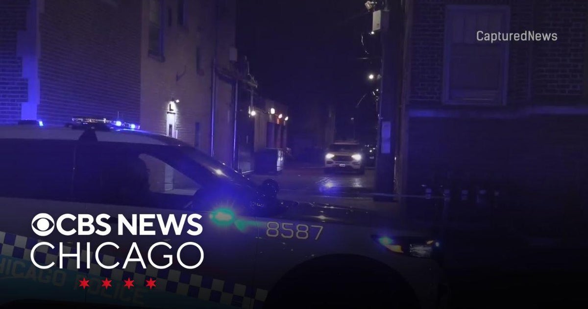 Concealed carry license holder shoots would-be burglar in Chicago's ...