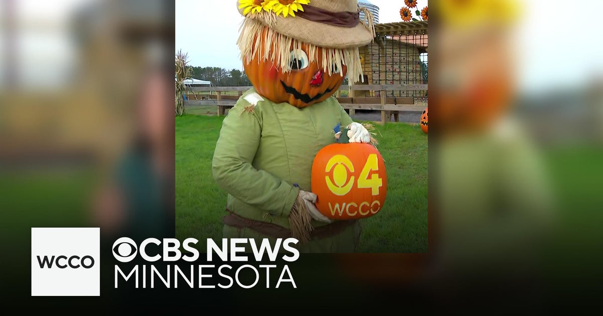 Minnesota’s Pinehaven Farm rolls out fall fun - CBS Minnesota