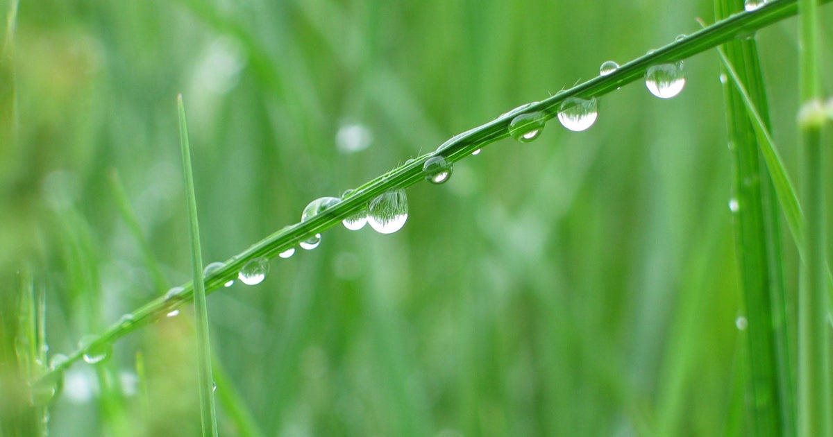 What is dew point? The difference between humidity and dew point ...