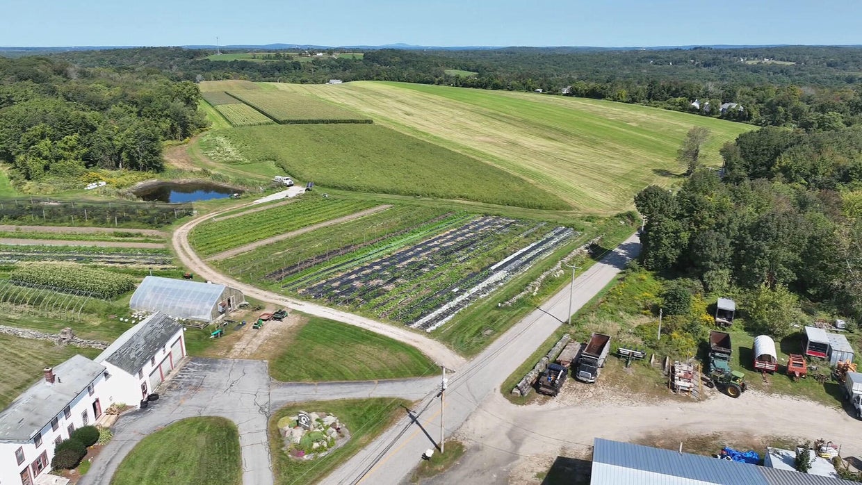 This Massachusetts farm has something other than apples and pumpkins in ...